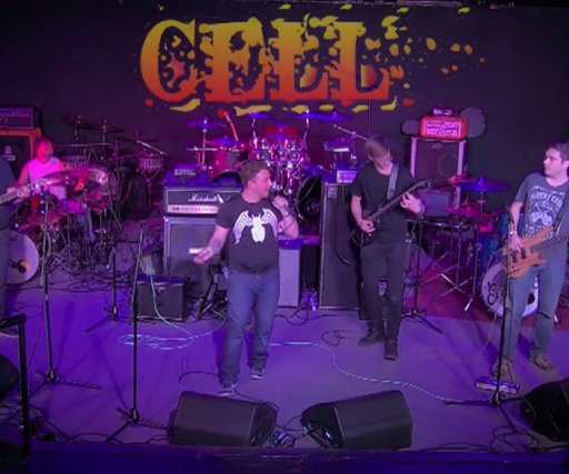 Vividry (Live At The Worst Little Podcast) - The Band Cell | tunetrax.com